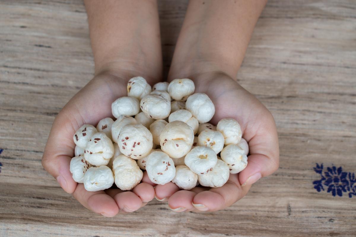 About us - UrjaBites