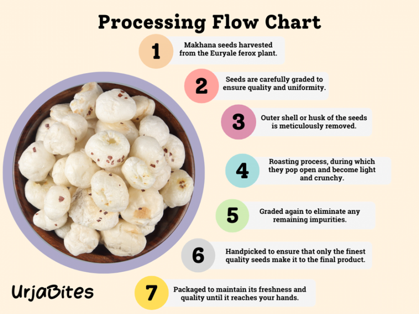 Makhana Plant | From Seed to Snack | Everything You Need to Know ...